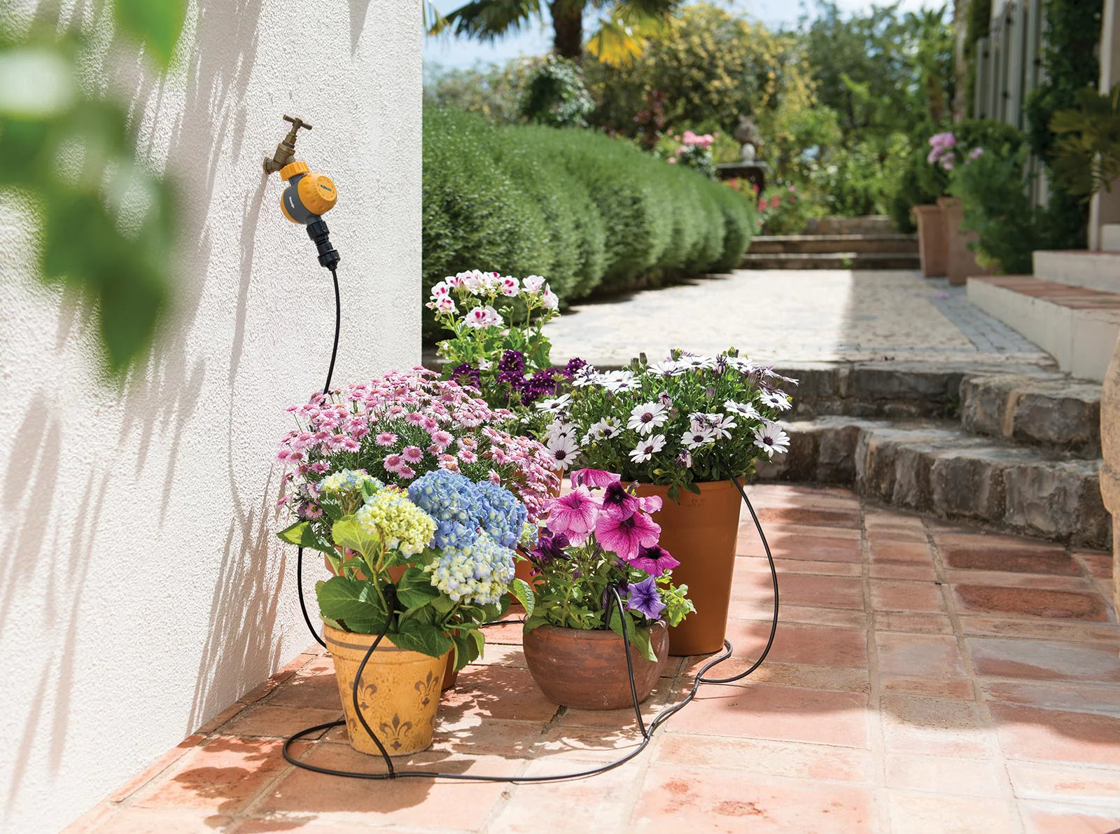 Hozelock Automatic Watering System: A Complete Setup Guide